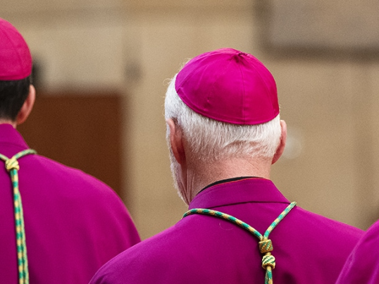 Global bishop numbers increase slightly, in line with Catholic population