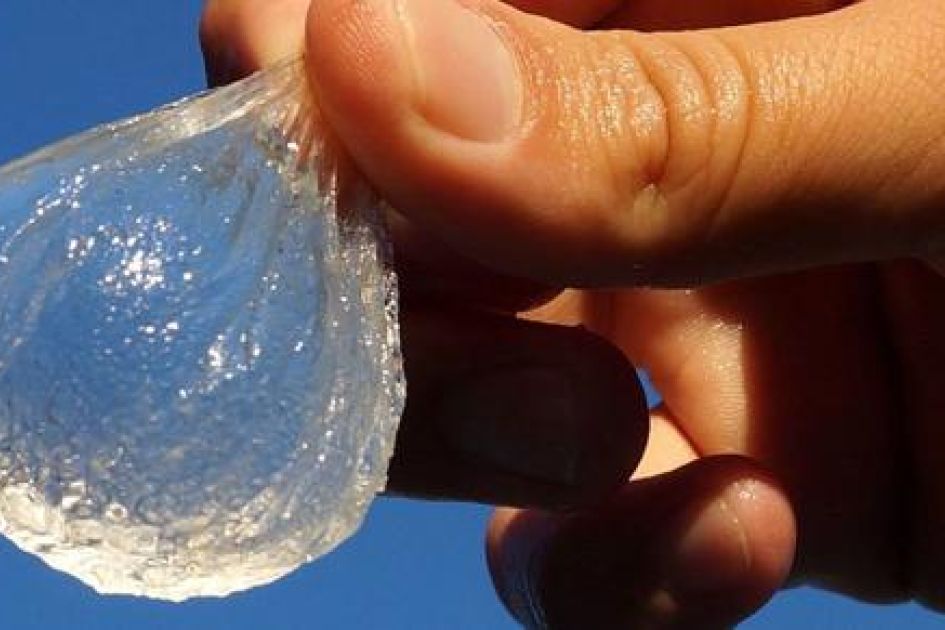 Christian conservation charity calls churches to boycott plastic water ...