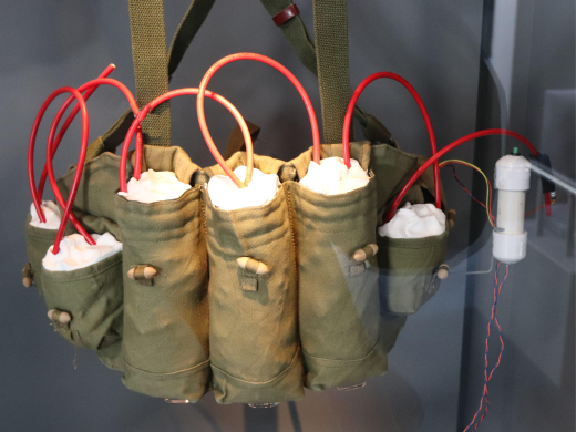 Authorities thwart teen's 'mother of satan' church bomb plot