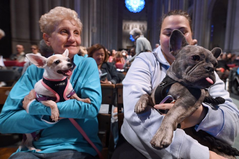 Greyfriars Bobby church to host annual pet blessing service