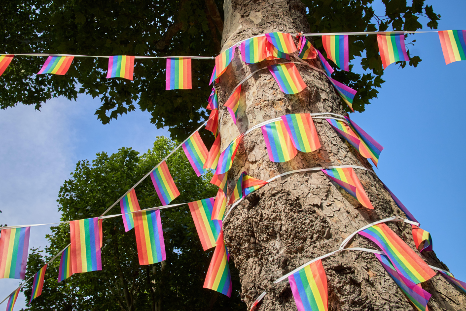 LGBT bunting torn down from church