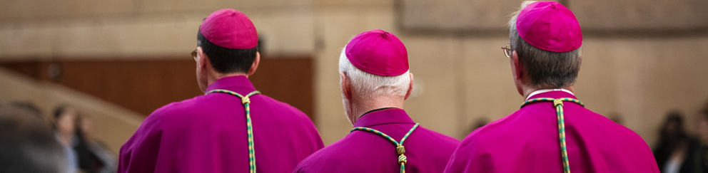 Global bishop numbers increase slightly, in line with Catholic population