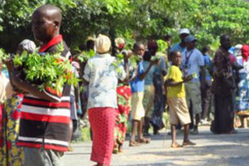 Burundi Anglicans aim to plant 10 million trees in five years